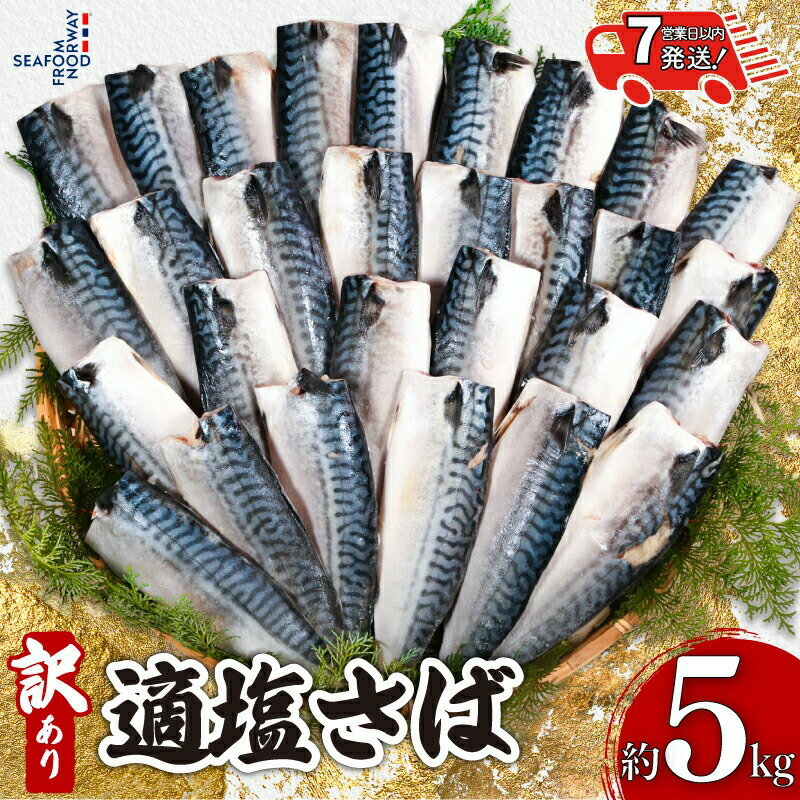 商品情報内容量約5kg原材料さば（ノルウェー産）・食塩賞味期限発送日から-18度以下：発送日より約1年前後 / +5度以下：解凍日含む7日商品説明厳選したノルウェー産100％のさばと「さぬき塩」を使用し、ちょうど良い塩加減で仕上げた一品です...