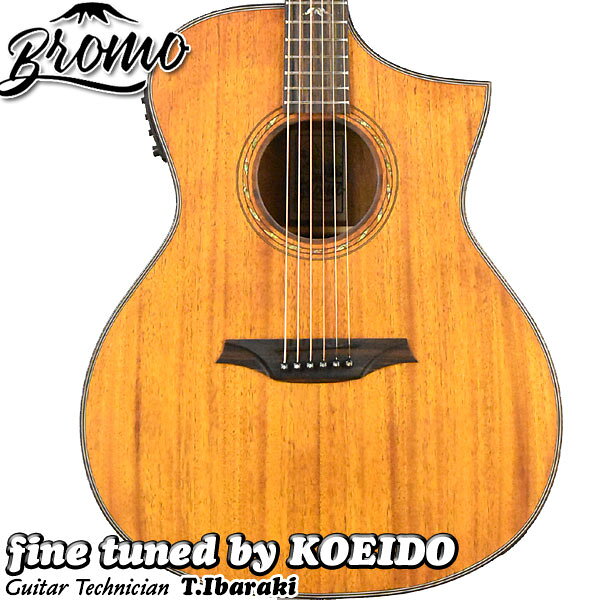 2023年に生まれたばかりの「Bromo Guitars」は、インドネシアの東ジャワにあるブロモ火山の麓にあり、その地名から名付けられました。コストパフォーマンス抜群のブランドです。この価格で単板トップ、カッタウェイのエレアコです。ソリッド...