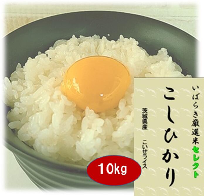 ＊＊＊＊＊＊＊＊＊＊＊＊＊＊＊＊＊＊＊＊＊＊＊＊＊＊ 沖縄県全域への発送は、別途送料追加となります。 (混載含)15kgまで+1000円/25kgまで+1200円 ※1個口の最大総重量25kg ＊＊＊＊＊＊＊＊＊＊＊＊＊＊＊＊＊＊＊＊＊＊＊...
