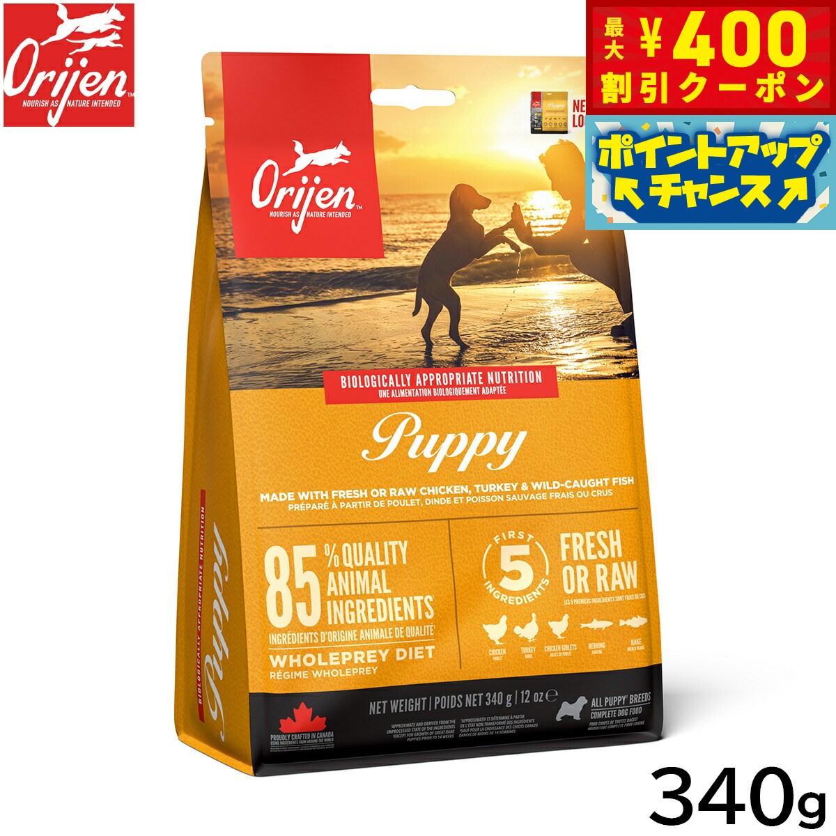オリジンパピーは放し飼いの鶏肉や七面鳥肉、自然の海で漁獲された魚、巣に産み落とされた全卵など新鮮食材を使用しており、子犬が本来必要とするホーププレイ比率で良質なたんぱく質と脂肪を含んでいます。商品名オリジン Orijen ドッグフード パピ...