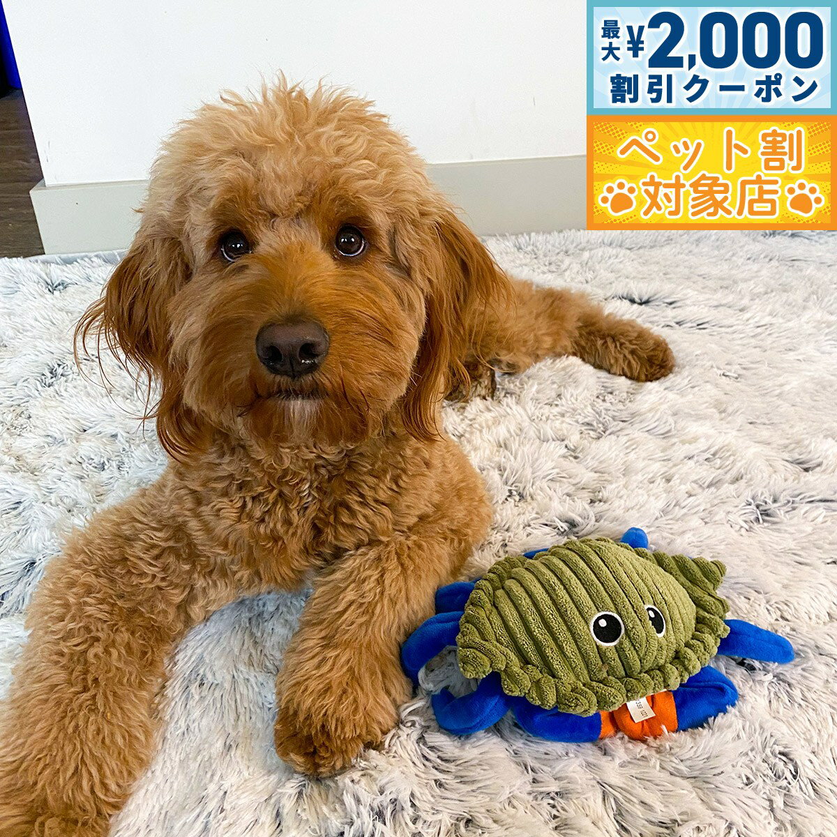 リサイクルペットボトルを使用した、サステナブルなフラップトイ。スクイーカーを押すと爪がパタパタ動く！わんちゃんの好奇心を刺激するおもちゃです。電池不使用なので安心してお使いいただけます。商品名トール・テイルズ TALL TAILS フラップ...