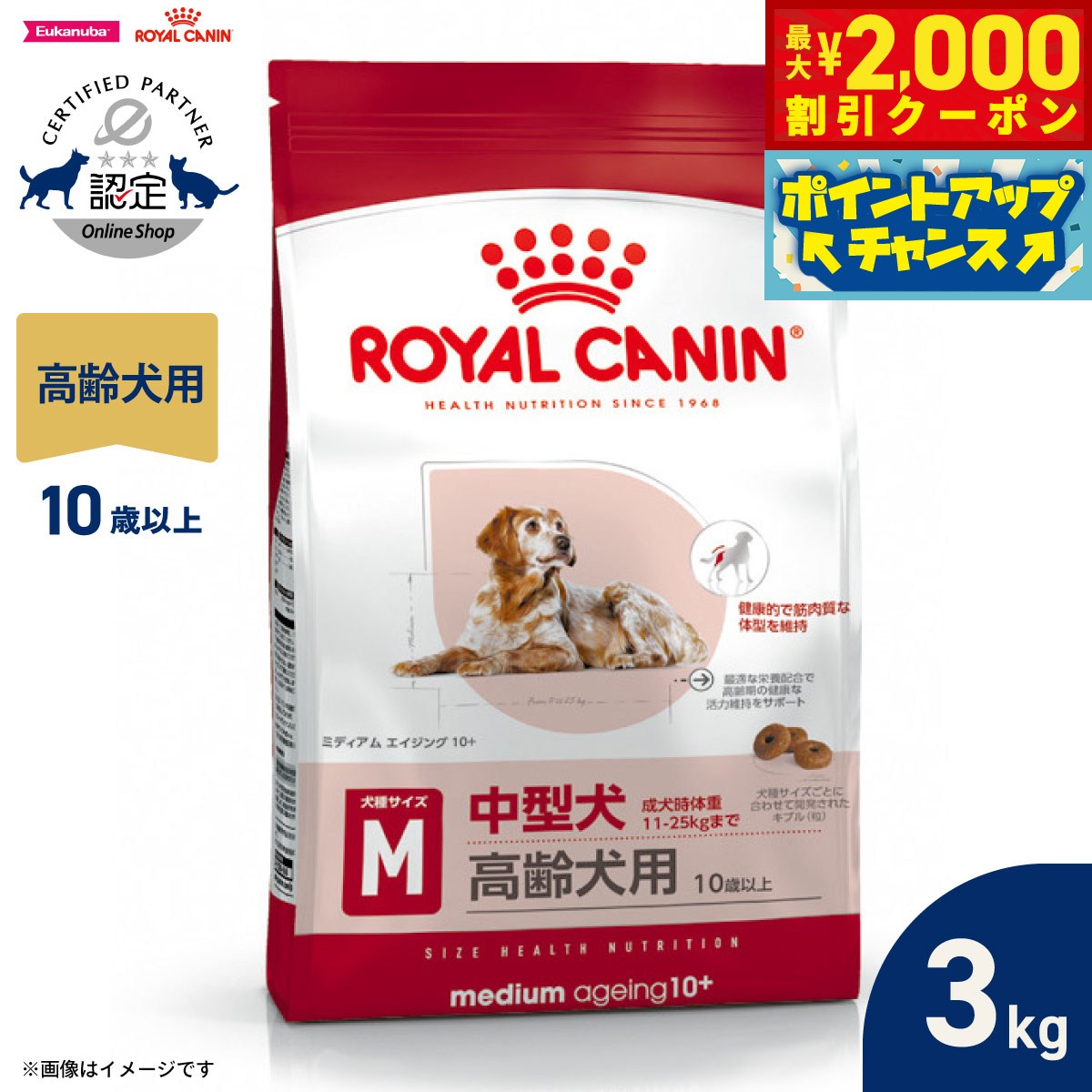 10歳から目立ちはじめる中型犬の健やかな高齢期をサポートするフードです。高品質のタンパク質を配合することによって、健康的な筋肉量の維持をサポートします。独自のプレバイオティクスやビタミンC、Eなどを配合した栄養バランスにより、健康を維持する...