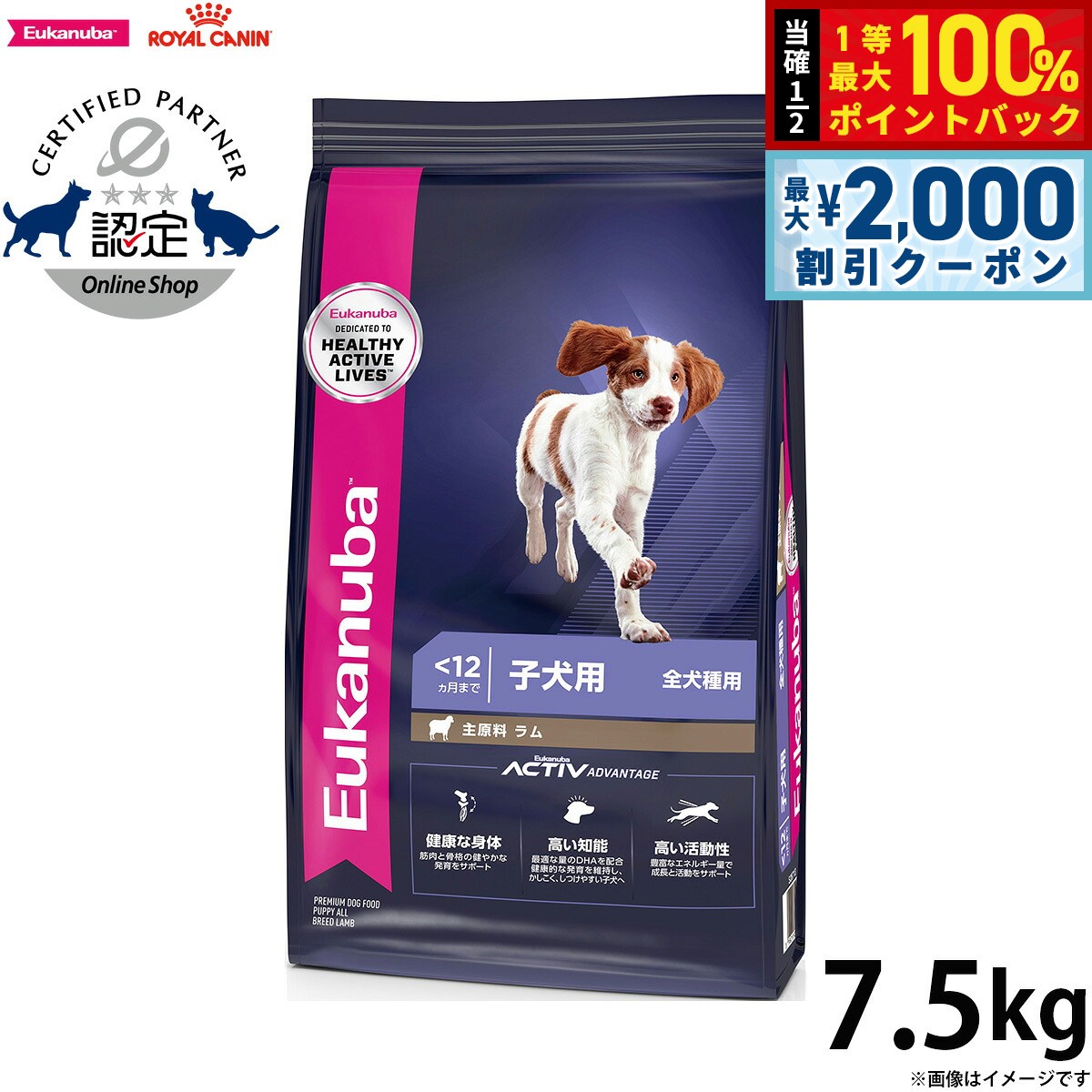 高品質な動物性タンパク質と最適な量のカルシウムとリンを配合し、成長期の筋肉と骨格の健やかな発育をサポート。最適な量の脂肪と炭水化物が高いエネルギー要求量を満たし、子犬の健やかな成長と活発さをサポート。成長期の子犬の健康を維持することで免疫力...
