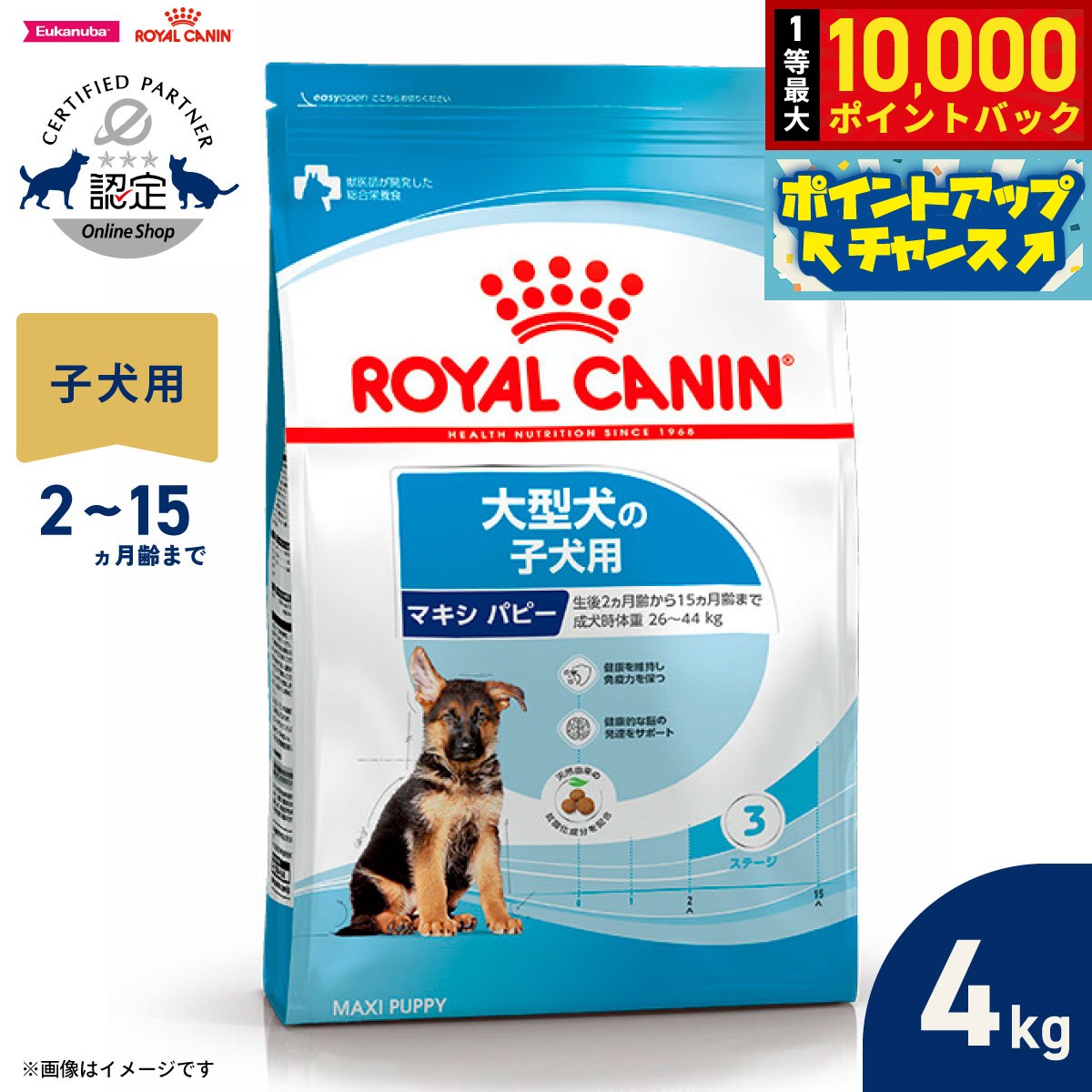 ゆるやかに成長する大型犬の成長期のために高い消化性とエネルギー量に配慮したフードです。ビタミンEとCなど科学的に証明された独自の抗酸化成分を配合し、子犬の健康を維持し、免疫力の発達をサポートします。科学的に証明されたオメガ3系不飽和脂肪酸（...