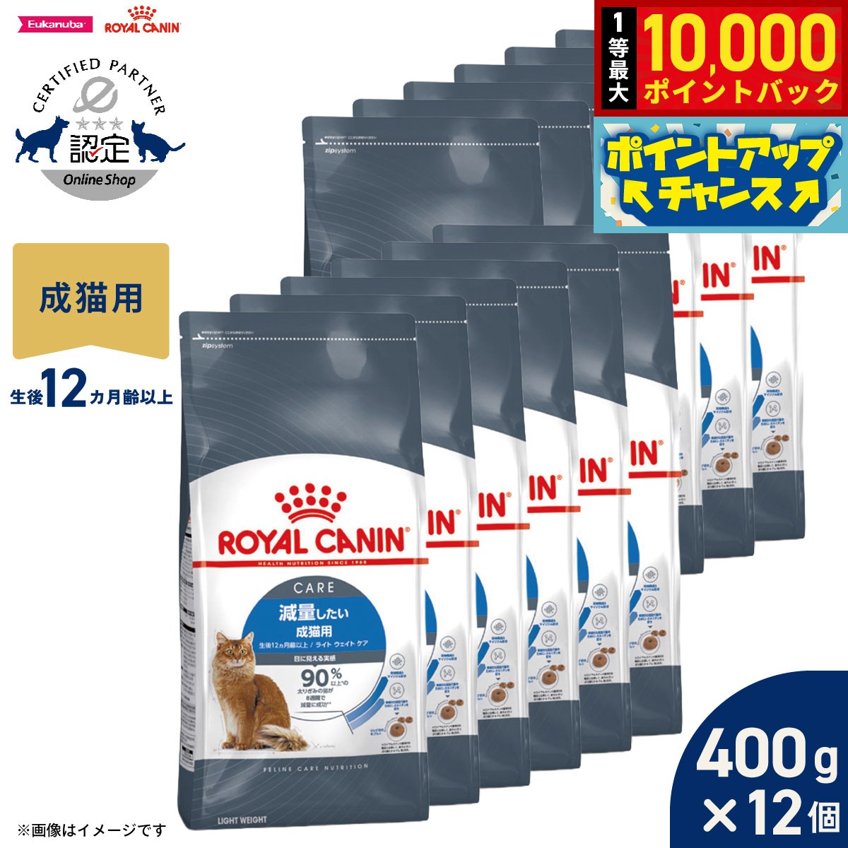 フィーライン ケア ニュートリション ライト ウェイト ケアは、最適に調整された栄養バランスによって、健康的な体重管理をサポートします。サイリウムを含む複数の食物繊維がお腹を満たすことによって食べ過ぎを抑制。低脂肪に抑えることで、理想的な体...