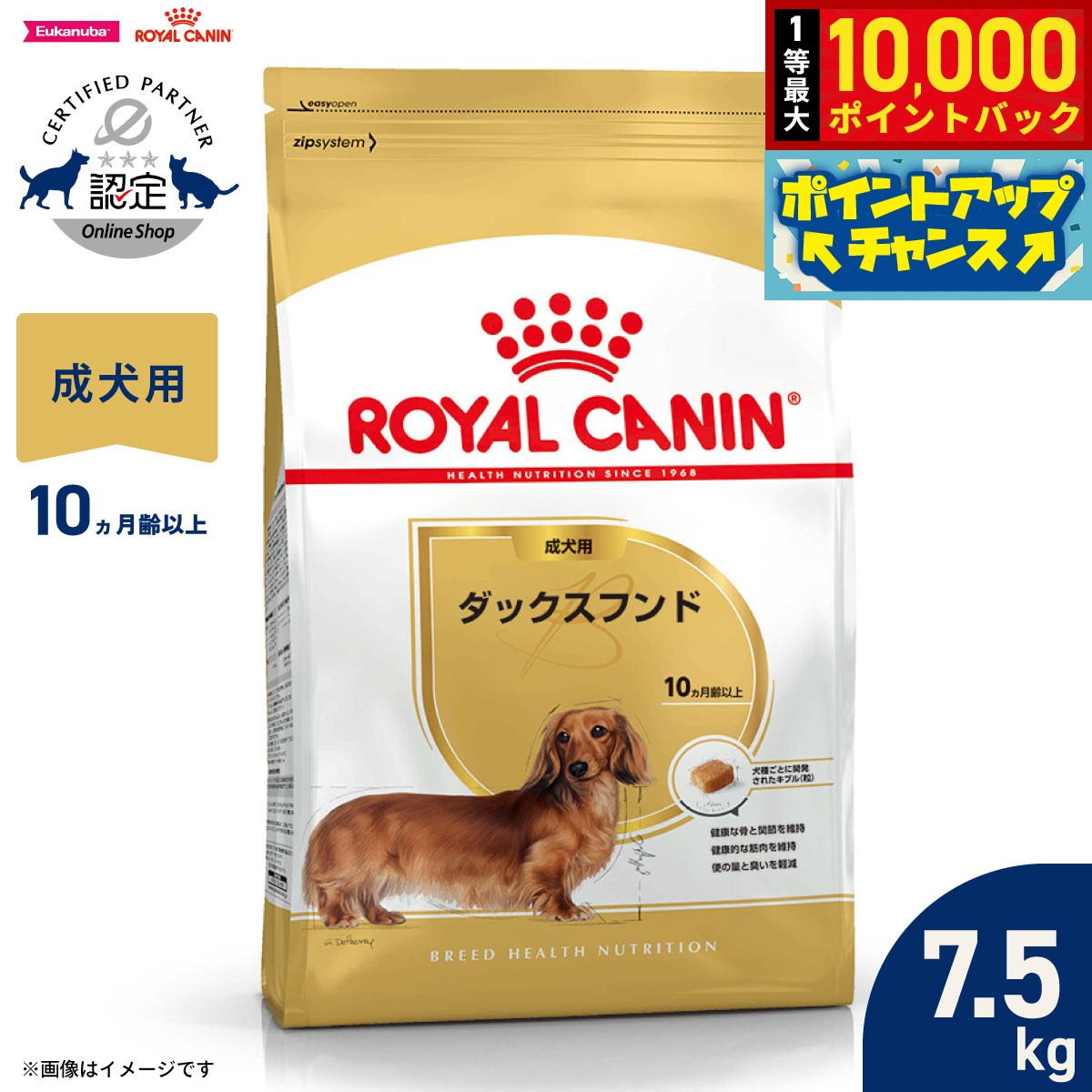 『ダックスフンド 成犬用』は、骨と関節の健康維持をサポートするためにカルシウムとリンをバランスよく配合しています。また、カロリー含有量を適切に調整し、理想的な体重を維持します。適切な量のタンパク質がダックスフンドの健康的な筋肉を維持します。...