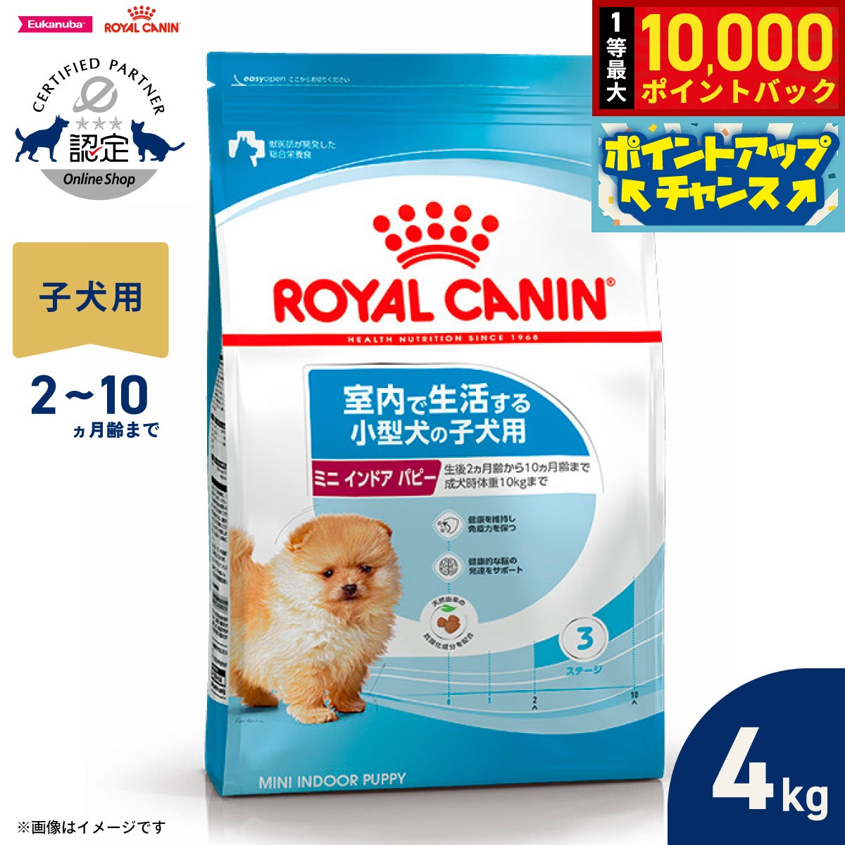 90%以上が消化される超高消化性タンパクを配合し、健康的な消化を維持します。また、室内犬に最適な低脂肪・低カロリー設計です。ビタミンEとCなど科学的に証明された独自の抗酸化成分を配合し、子犬の健康を維持し、免疫力の発達をサポートします。科学...