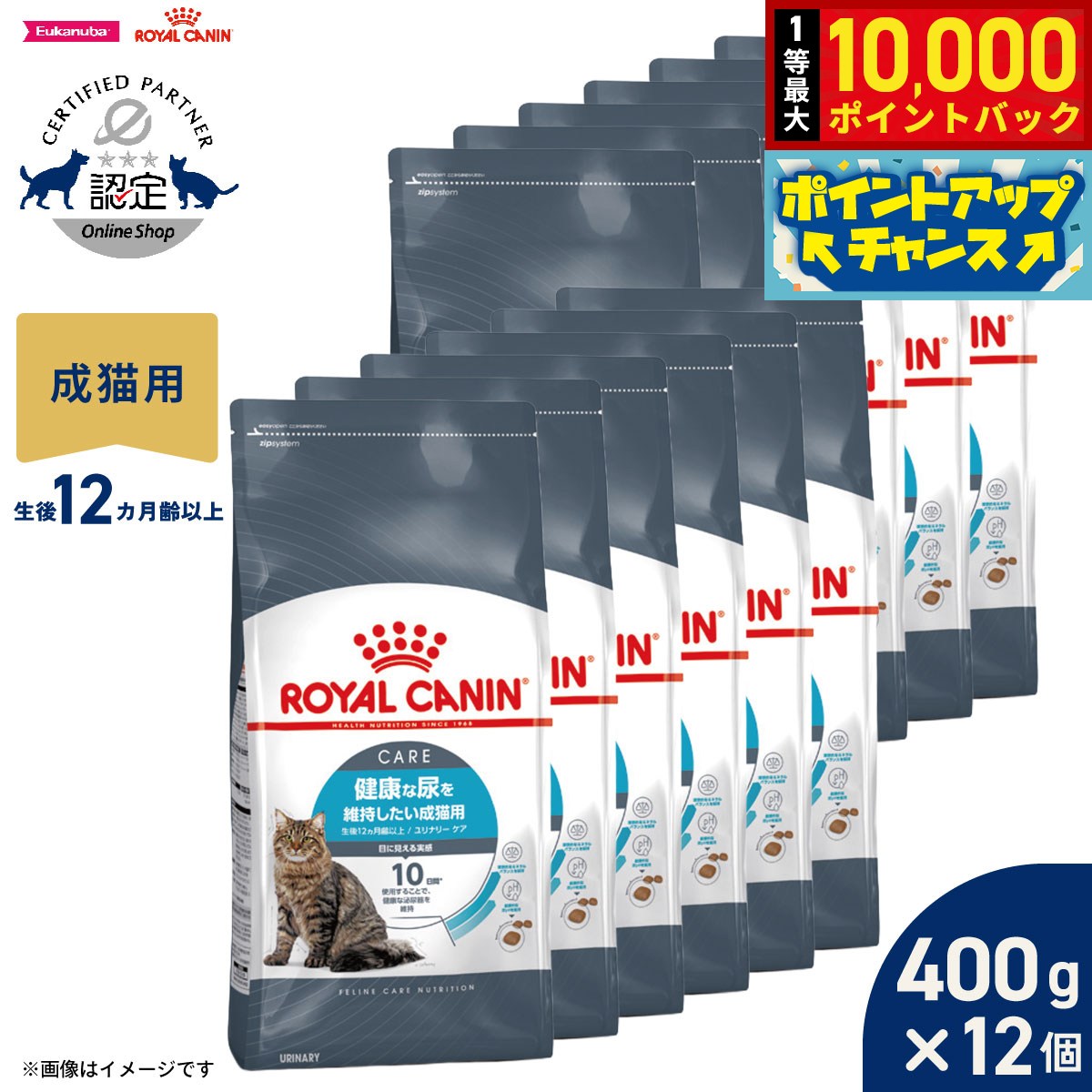 ミネラルバランスを調整し、かつ低い尿pHに維持することで健康な尿を維持し、尿路結石の形成を抑えます。猫が十分に水を飲まないと、尿中に特定のミネラルの濃度が高くなり、濃度の高い尿を排出するようになります。これらの要因は、排尿のパターンに変化を...