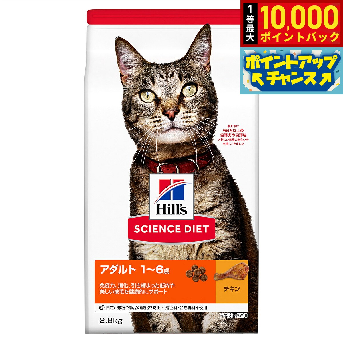 免疫力、消化、引き締まった筋肉や美しい被毛を健康的にサポートマグネシウムの量を調整し、適切な栄養バランスで、ストルバイト尿石に配慮高品質なたんぱく質を使用し、引き締まった筋肉を維持健康に欠かせない成分であるタウリンを配合し、心臓の健康をサポ...