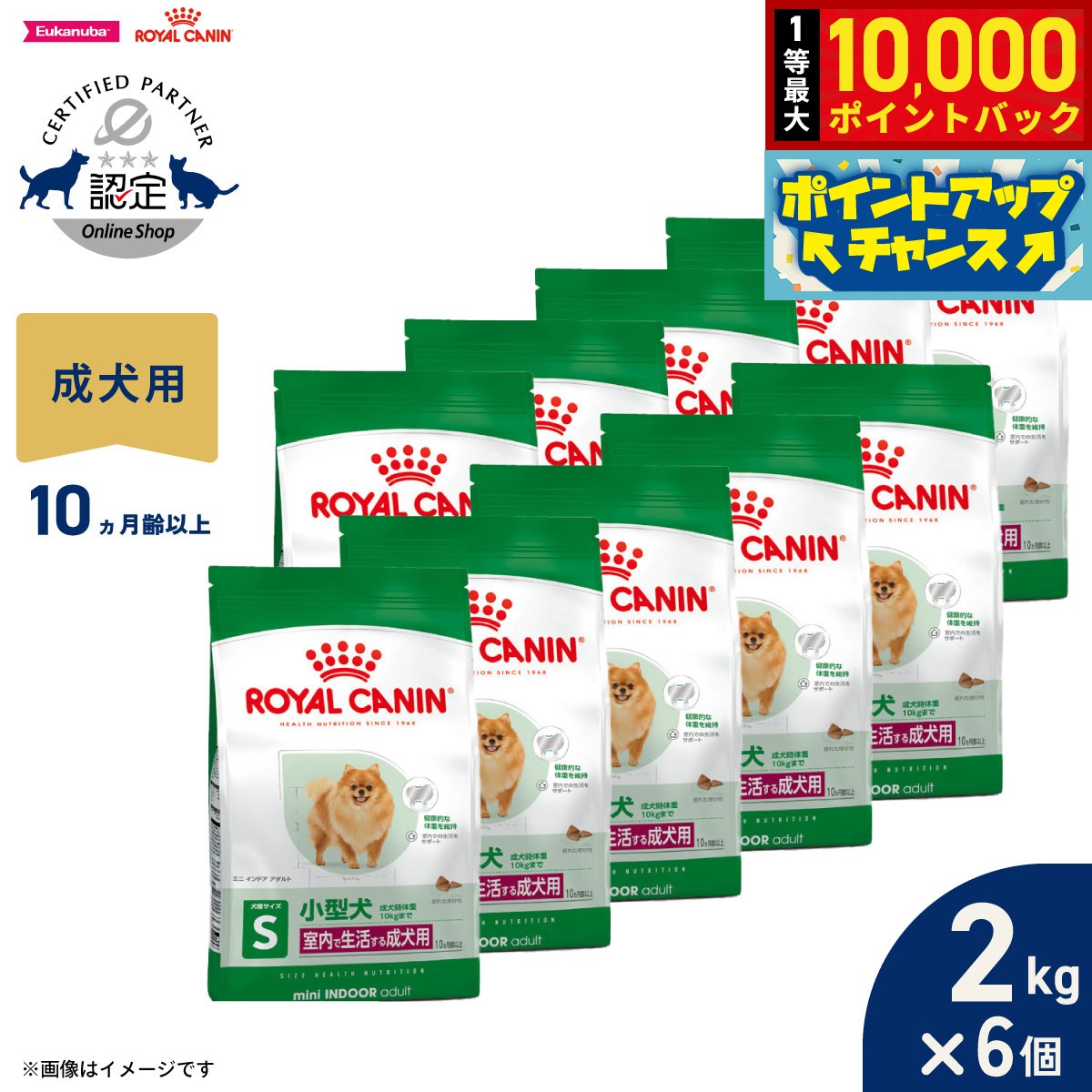 90%以上が消化される超高消化性タンパクを配合し、健康的な消化を維持します。また、室内犬に最適な低脂肪・低カロリー設計です。室内で生活する小型犬のエネルギー要求量に合わせたカロリー調整により、理想的な体重の維持をサポートします。プレバイオテ...