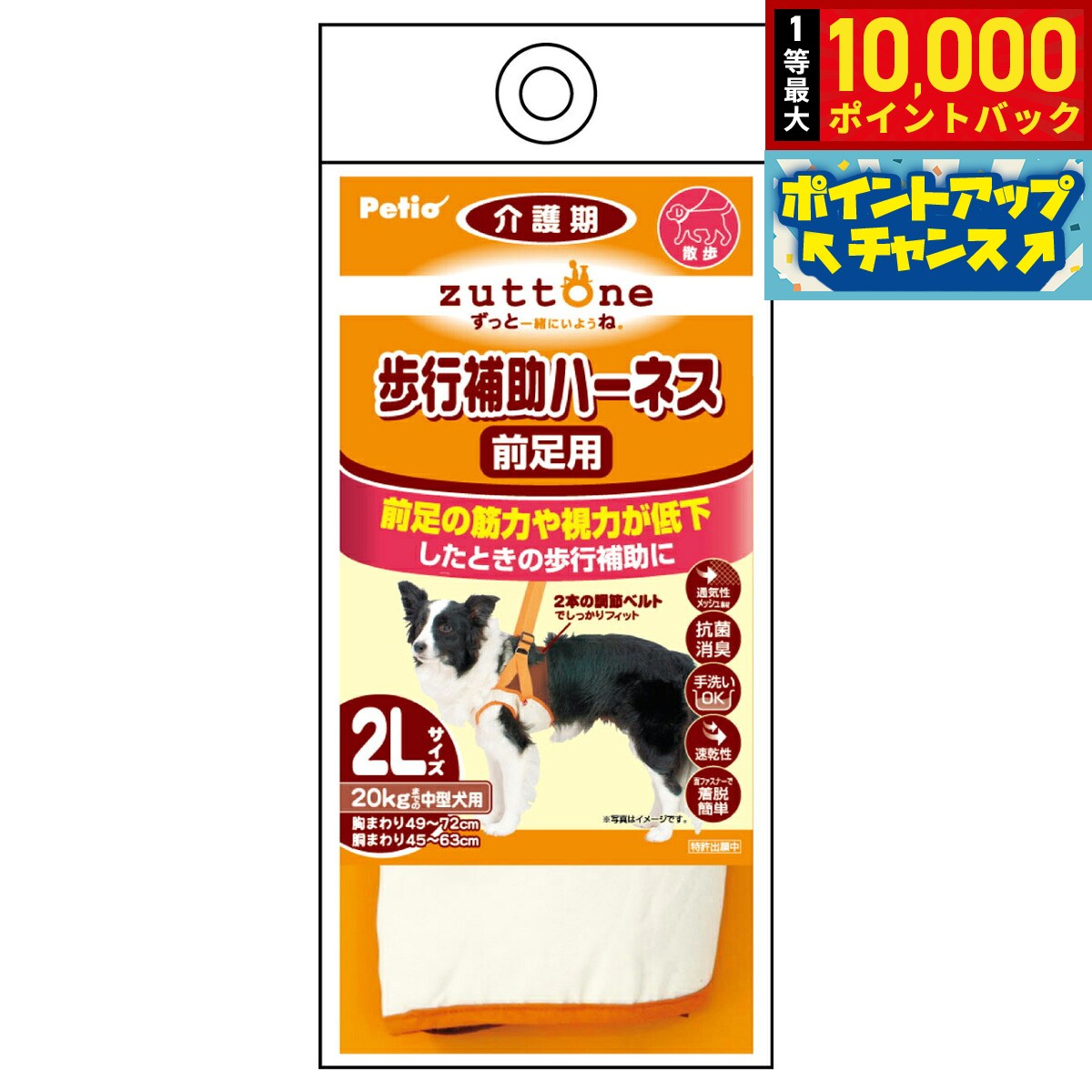 前足の筋力や視力が低下したときの歩行補助に。2本の調節ベルトでしっかりフィット。面ファスナーで着脱簡単。手にやさしい持ち手クッションカバー付。負担のかかりにくい軽量素材。抗菌・アンモニア消臭の通気性メッシュ素材使用（内側）商品名ペティオ z...