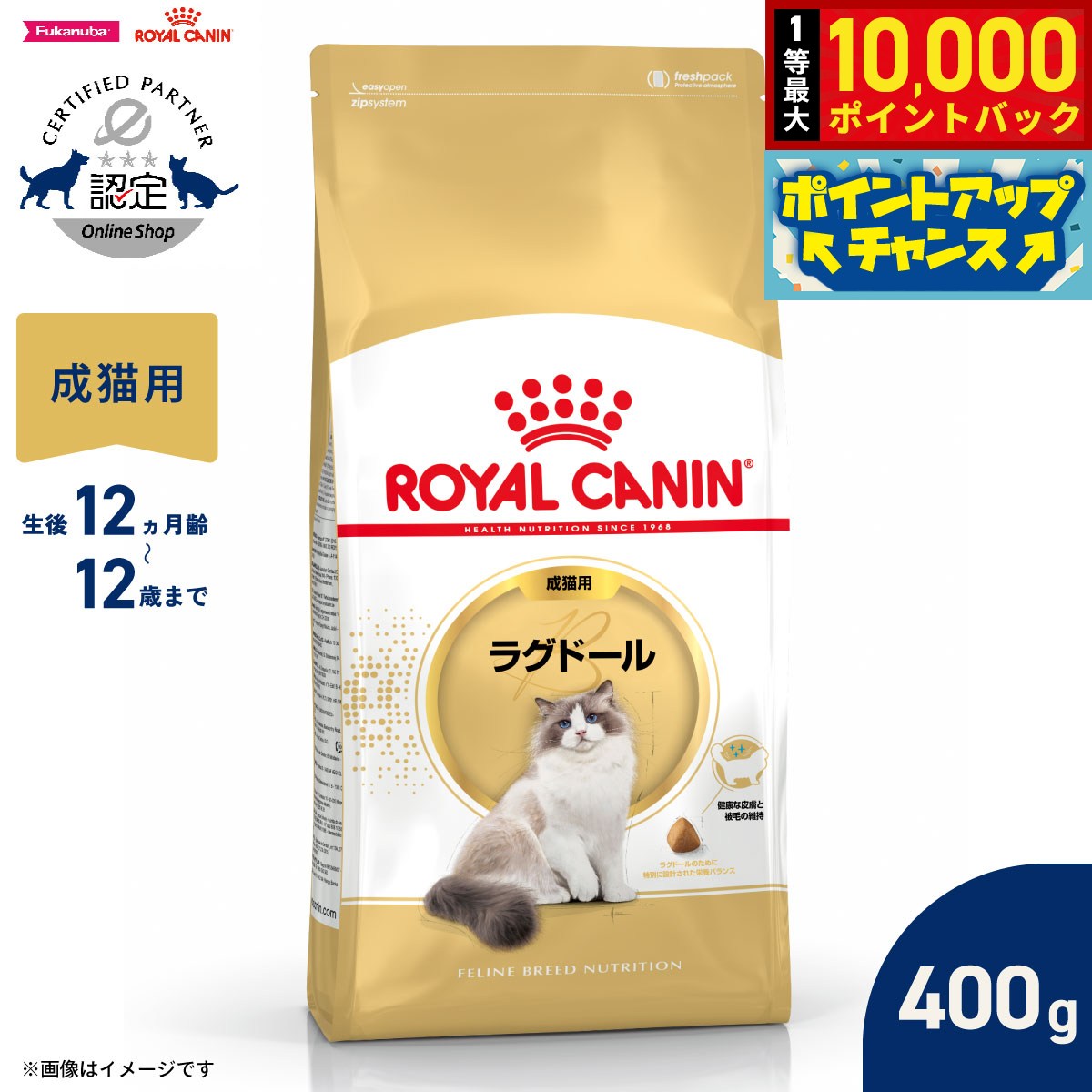 ラグドールは、絹のようにソフトなセミロングの被毛が特徴の猫種ですが、最も大型の品種のひとつで、骨と関節にも配慮が必要です。オメガ3・6系不飽和脂肪酸を配合し、グルコサミン、コンドロイチン硫酸を配合するなど、ロイヤルカナン独自の猫種ごとに最適...