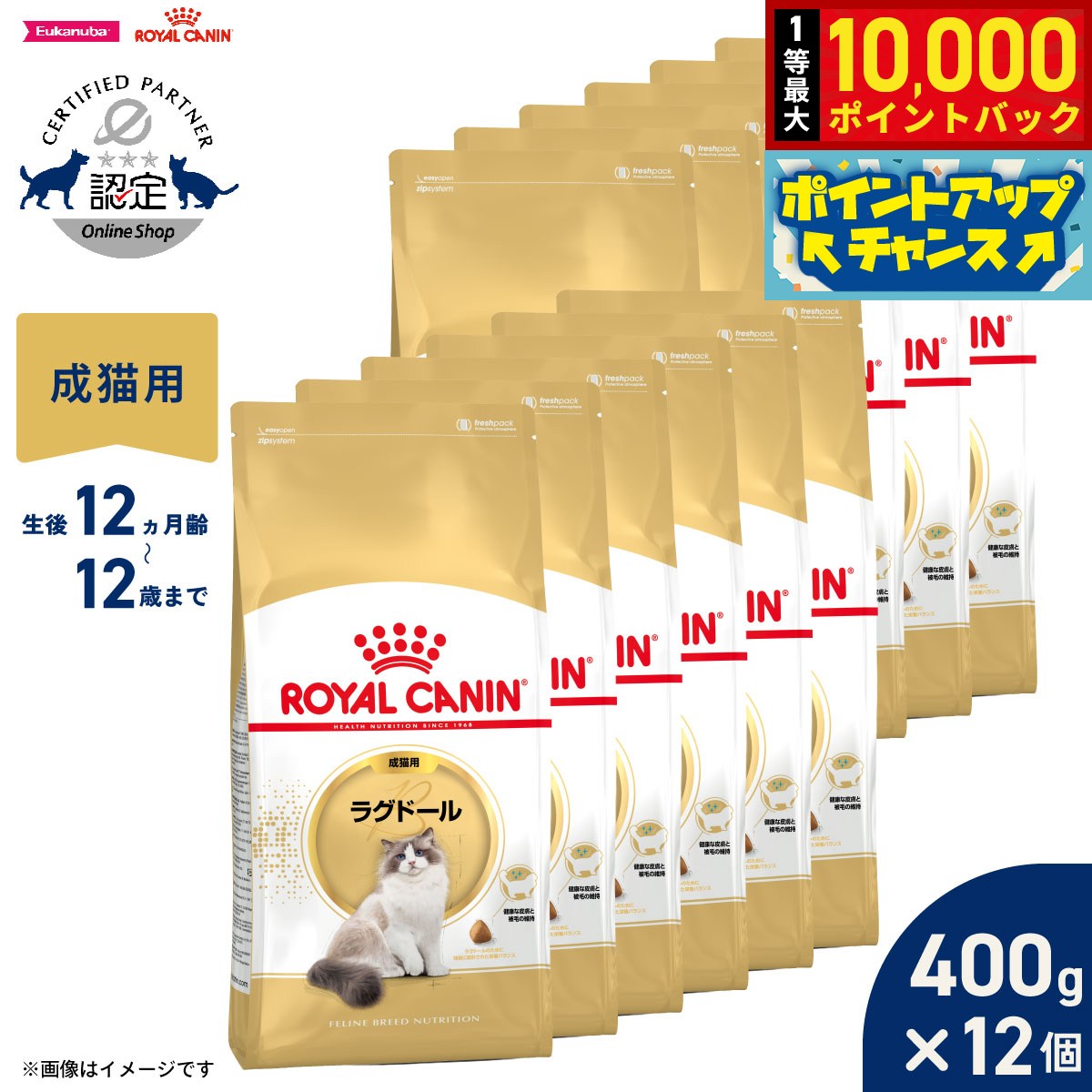 ラグドールは、絹のようにソフトなセミロングの被毛が特徴の猫種ですが、最も大型の品種のひとつで、骨と関節にも配慮が必要です。オメガ3・6系不飽和脂肪酸を配合し、グルコサミン、コンドロイチン硫酸を配合するなど、ロイヤルカナン独自の猫種ごとに最適...