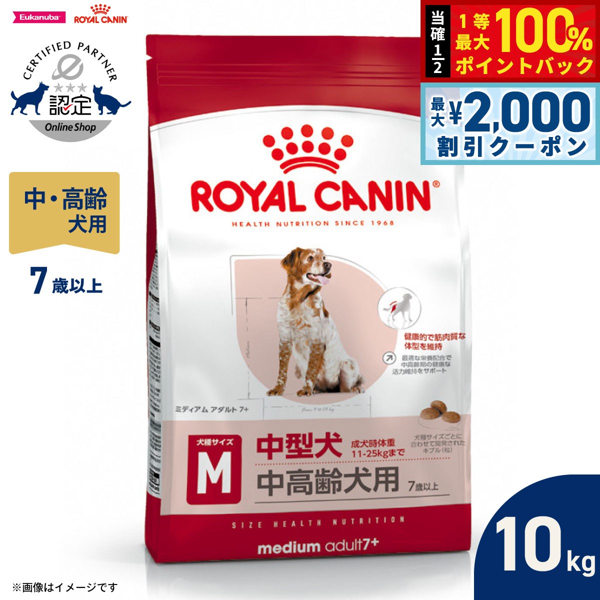 7歳から徐々に始まる中型犬の老化に配慮したフードです。高品質のタンパク質を配合することによって、健康的な筋肉量の維持をサポートします。独自のプレバイオティクスやビタミンC、Eなどを配合した栄養バランスにより、健康を維持することで犬の本来の抵...