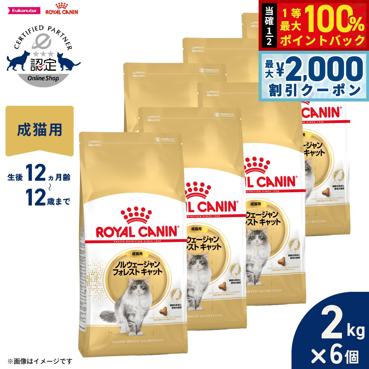 ノルウェージャン フォレスト キャットは、セミロングのダブルコートが特徴で、毛玉を形成しやすい猫種です。また、大きい体型で体重が増加しやすく、骨と関節に配慮が必要です。複数の食物繊維を組み合わせて配合し、オメガ3系不飽和脂肪酸（EPA・DH...