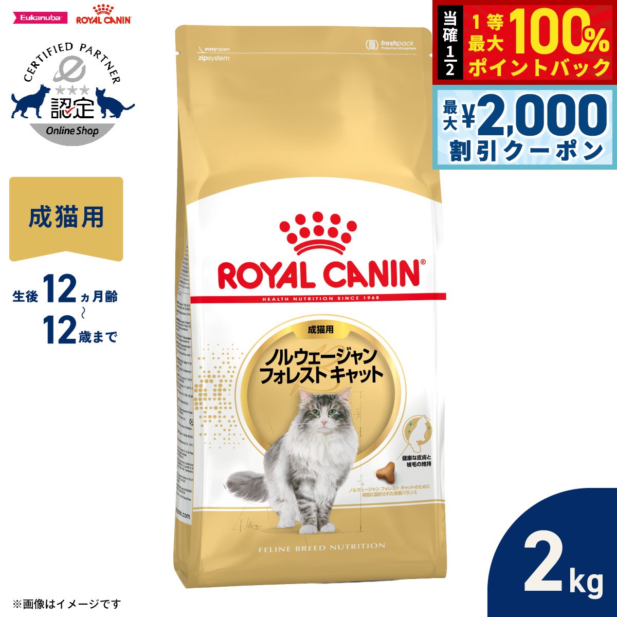 ノルウェージャン フォレスト キャットは、セミロングのダブルコートが特徴で、毛玉を形成しやすい猫種です。また、大きい体型で体重が増加しやすく、骨と関節に配慮が必要です。複数の食物繊維を組み合わせて配合し、オメガ3系不飽和脂肪酸（EPA・DH...