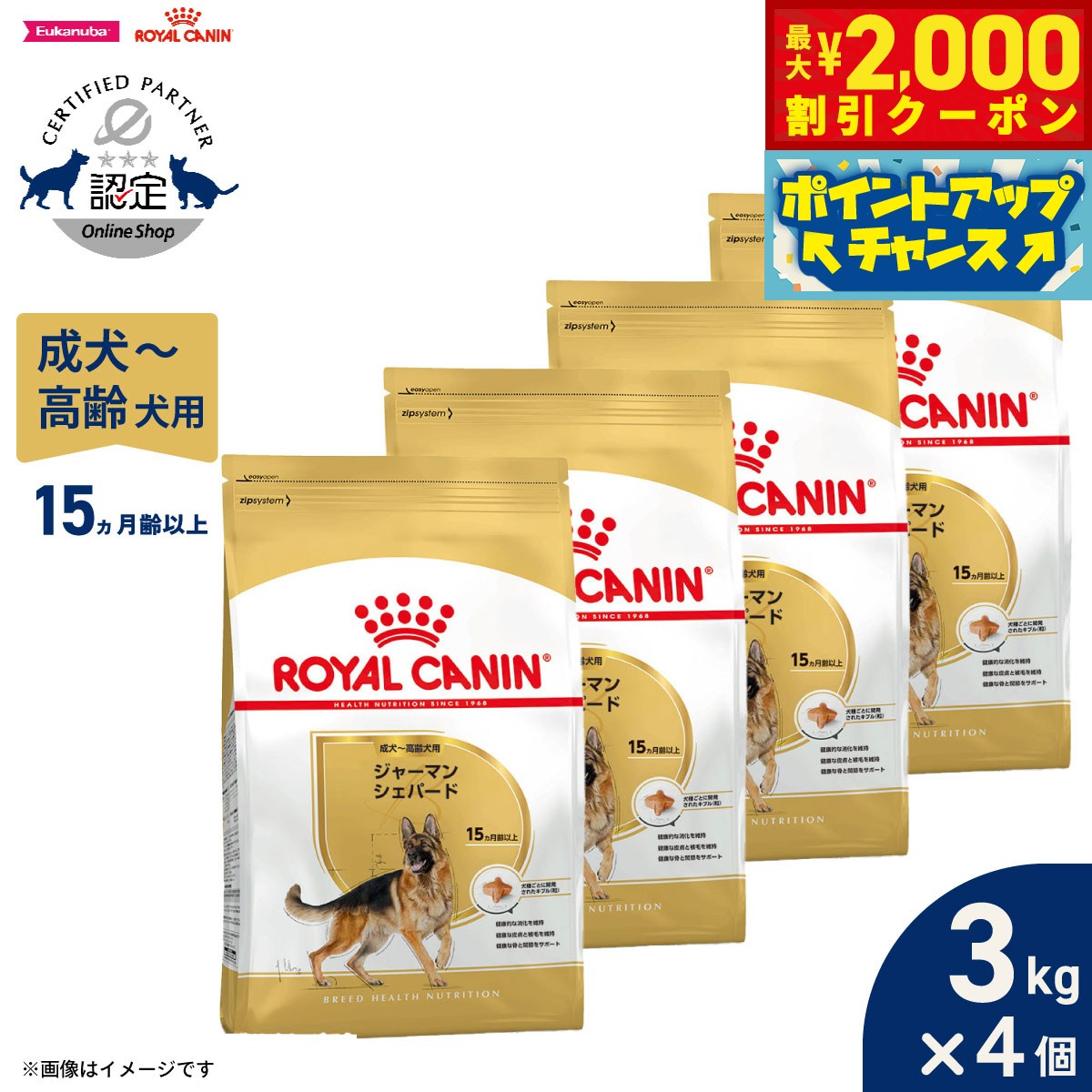 ジャーマンシェパードは、糞便中の水分含有率が高く、消化器に配慮が必要な犬種です。また、その皮膚はpHが高くアルカリ性で、他の犬種と比較して細菌が繁殖しやすいため、皮膚のバリア機能にも配慮が必要です。消化性の高いタンパク質を使用し、EPA・D...