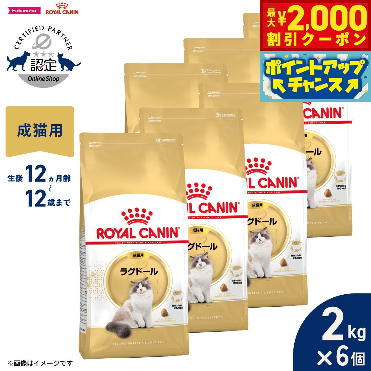ラグドールは、絹のようにソフトなセミロングの被毛が特徴の猫種ですが、最も大型の品種のひとつで、骨と関節にも配慮が必要です。オメガ3・6系不飽和脂肪酸を配合し、グルコサミン、コンドロイチン硫酸を配合するなど、ロイヤルカナン独自の猫種ごとに最適...
