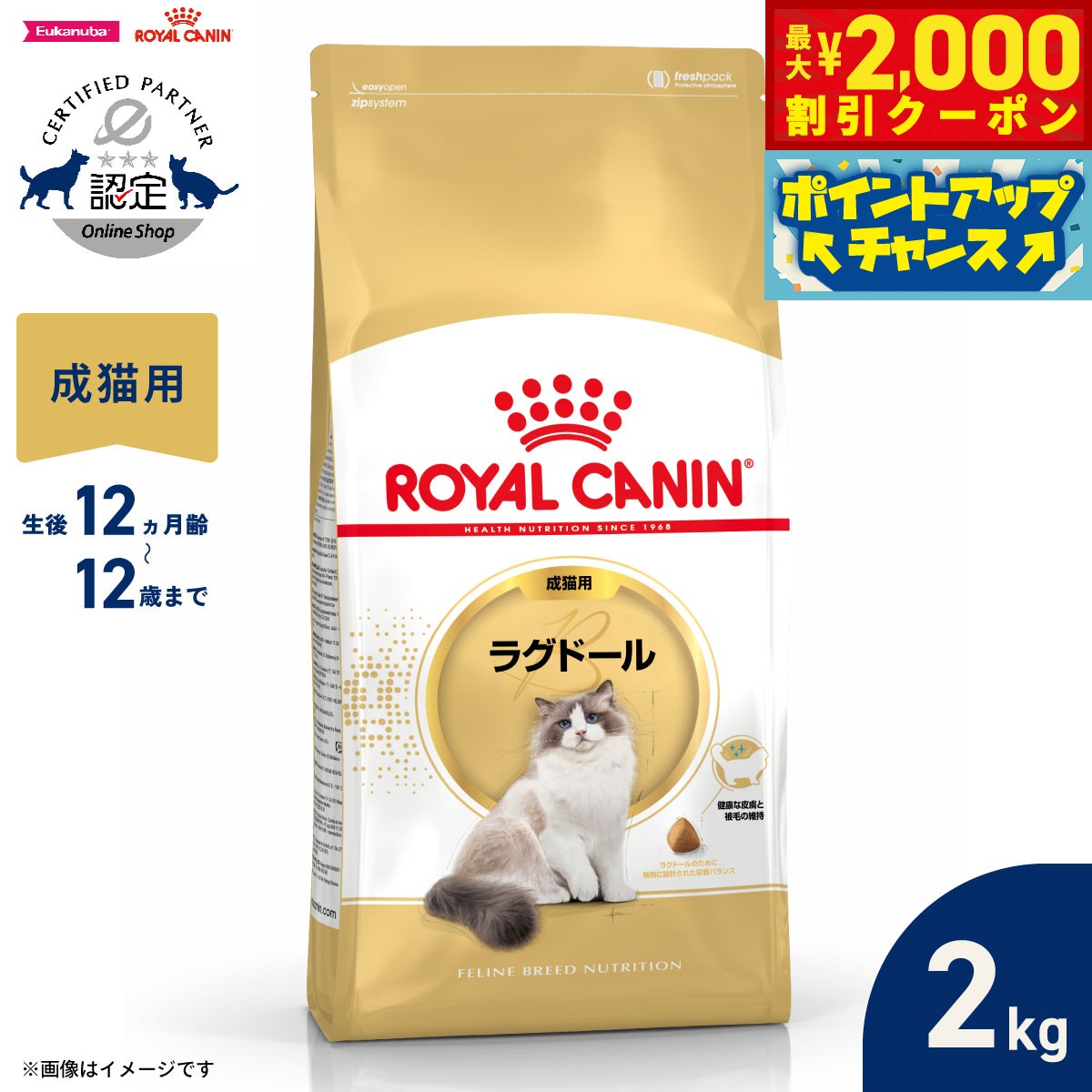 ラグドールは、絹のようにソフトなセミロングの被毛が特徴の猫種ですが、最も大型の品種のひとつで、骨と関節にも配慮が必要です。オメガ3・6系不飽和脂肪酸を配合し、グルコサミン、コンドロイチン硫酸を配合するなど、ロイヤルカナン独自の猫種ごとに最適...