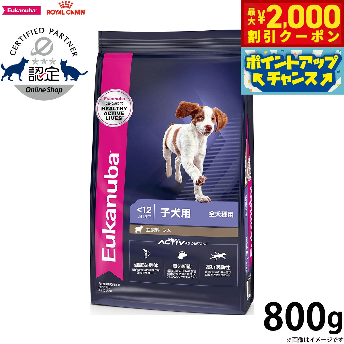 高品質な動物性タンパク質と最適な量のカルシウムとリンを配合し、成長期の筋肉と骨格の健やかな発育をサポート。最適な量の脂肪と炭水化物が高いエネルギー要求量を満たし、子犬の健やかな成長と活発さをサポート。成長期の子犬の健康を維持することで免疫力...