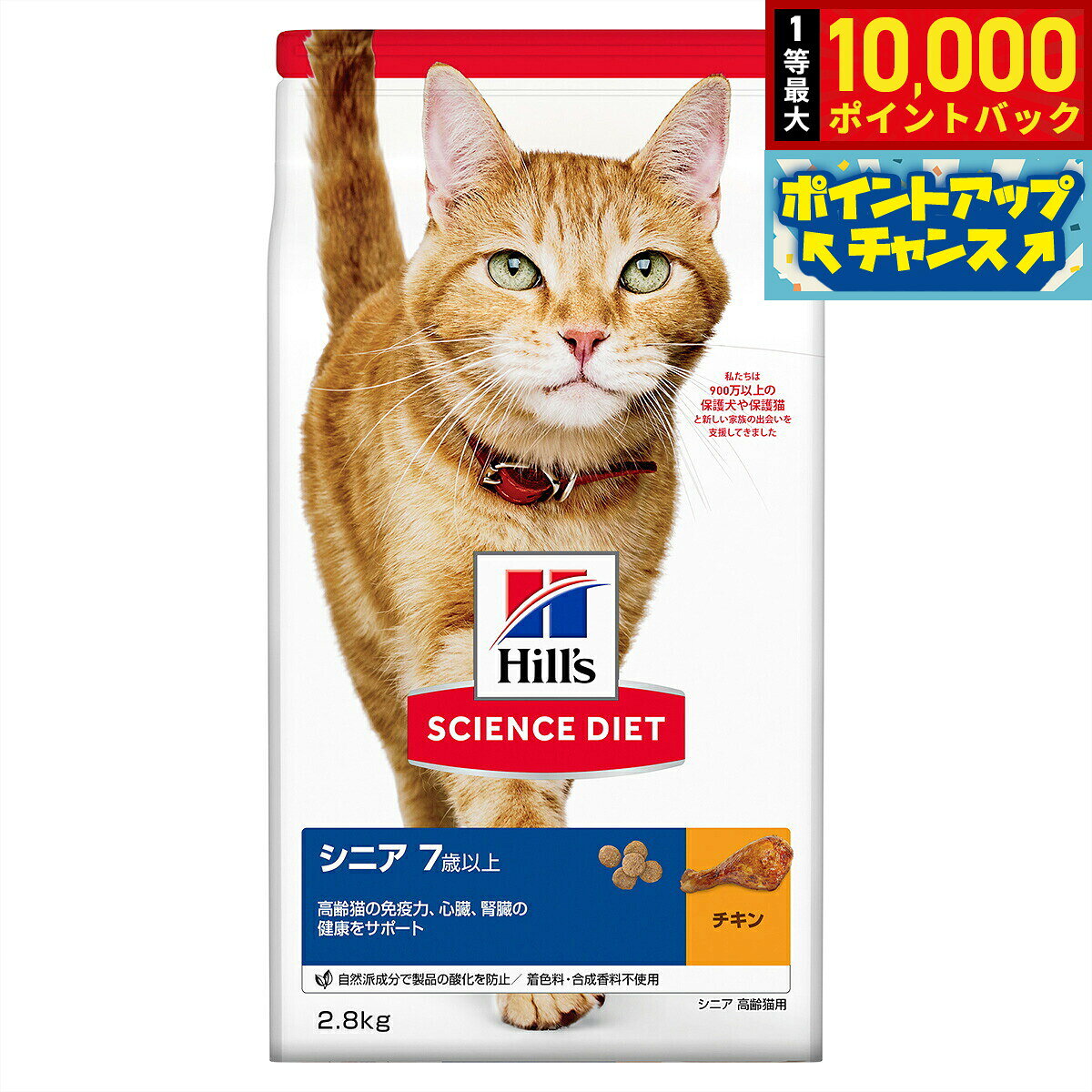 高齢猫の免疫力、心臓、腎臓の健康をサポートマグネシウムの量、ミネラルバランスを調整し、ストルバイト尿石、シュウ酸カルシウム尿石に配慮健康に欠かせない成分であるタウリンを配合し、心臓の健康をサポート高品質な原材料と食物繊維で健康的な消化をサポ...