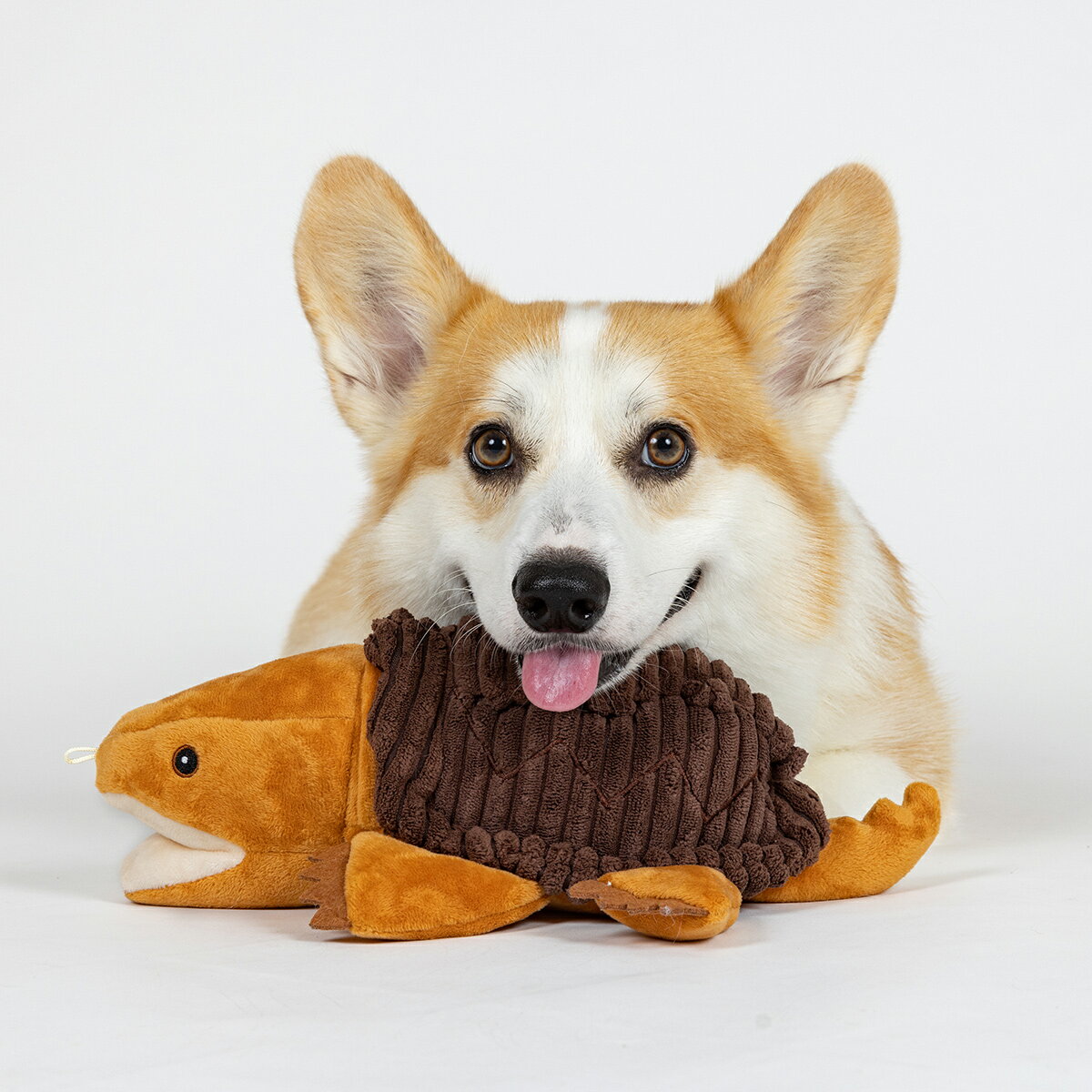 リサイクルペットボトルを使用した、サステナブルなクランチトイ。スクイーカーとペットボトルのバリバリ音がわんちゃんの興味を惹きつけます。商品名トール・テイルズ TALL TAILS クランチ・トイブランドTALL TAILS材質ポリエステル、...