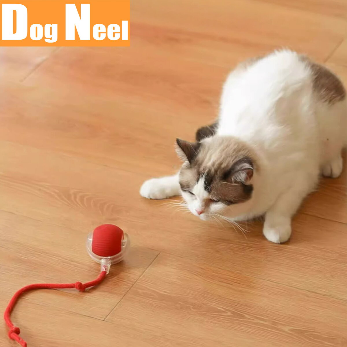 猫が一日中楽しめる電動猫じゃらしボール！ランダムに動くボールに付いた紐に猫ちゃんは夢中に！触れると5分間動き続けます。Type-C充電機能付き商品名DOG NEEL ドッグニール 猫のおもちゃ 電動自動走行ボール ひも付き ブランドDOG ...