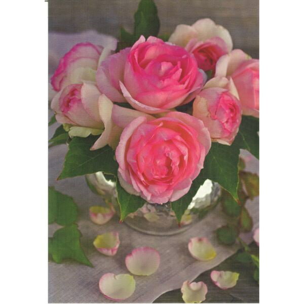 フランスより直輸入のポストカード インテリアにもどうぞ サイズ：105×150mm フランス製