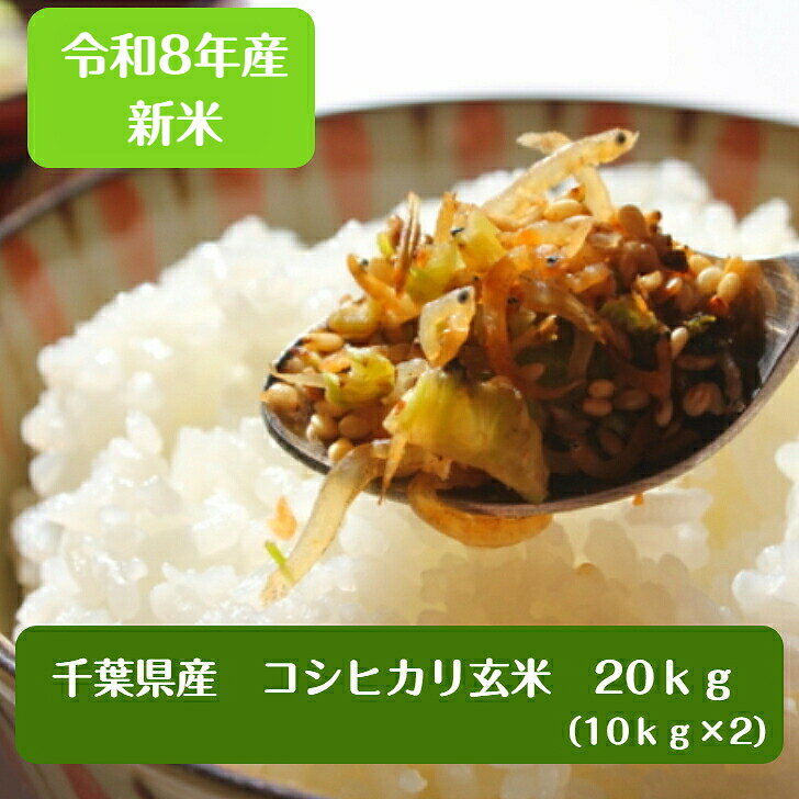 令和8年産　新米入荷！千葉県産 コシヒカリ玄米20kg（10kg×2袋）送料無料 精米無料 小分け無料※北海道・九州発送不可※ おいしい千葉のコシヒカリ♪♪ 12
