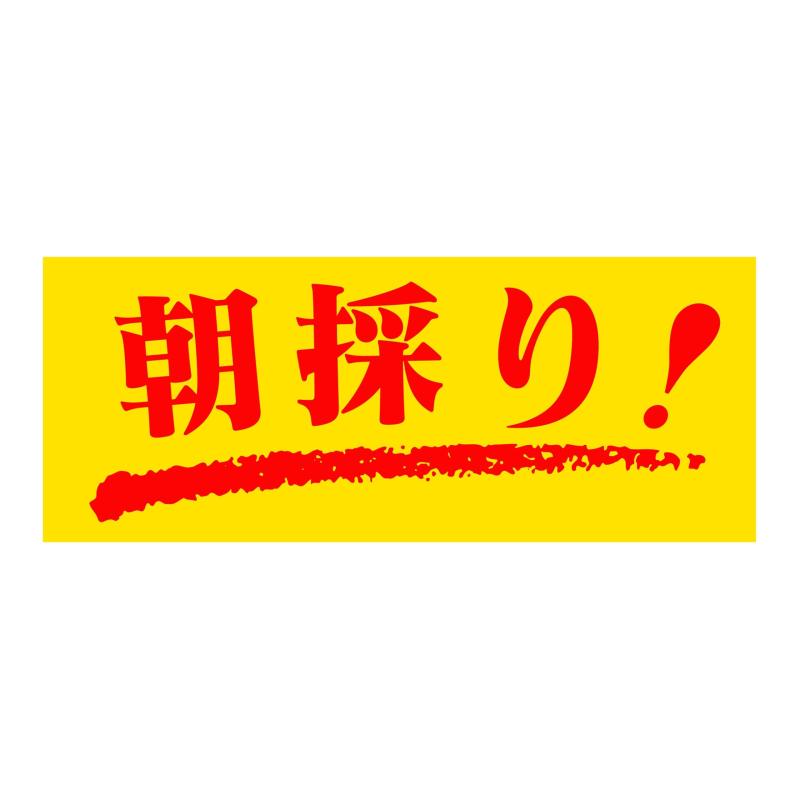 ヒカリ紙工 SMラベル SG124 朝採り 1000枚