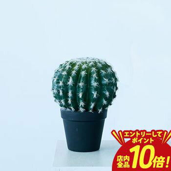 サイズ H=24 POT H=12.6 Φ=11