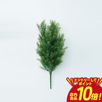 サイズ L=50