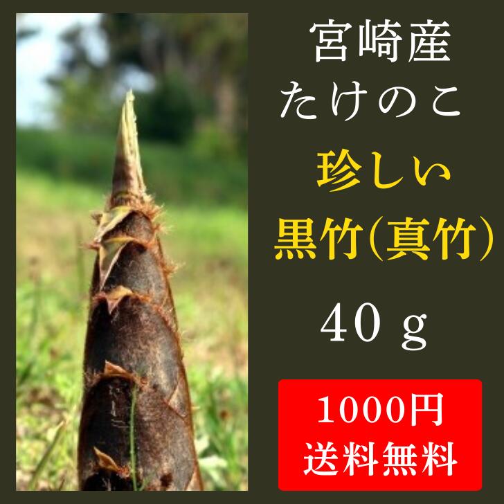 【1000円ポッキリ】乾燥たけのこ 黒竹(真竹) 【 たけのこ タケノコ 】 【送料無料】 宮崎産 乾燥たけのこ 黒竹(真竹) 内容量：40g 【乾燥たけのこ、黒竹(真竹) 】保存が効くため、日持ちもするので保存食としても最適。食べたいとき...