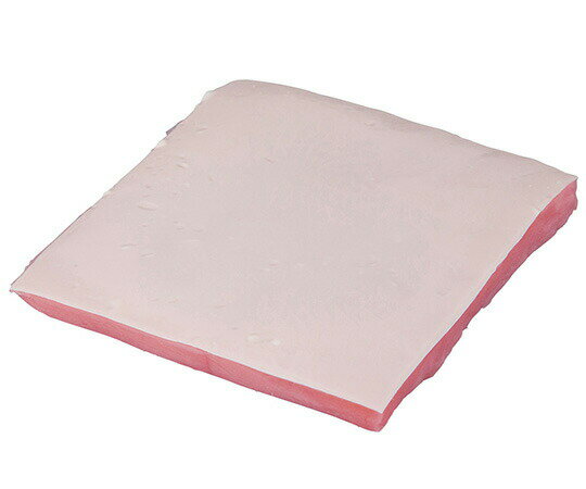 ※※※「事業者向け商品」※※※縫合糸の掛かり具合をリアルに再現しました。リアルな質感を追求しました。排便の掻き出し、浣腸など様々な練習が可能です。縫合や触診など質感を追求した、お求めやすい価格の訓練用人体モデル！人体臓器に近い電気抵抗値のシ...