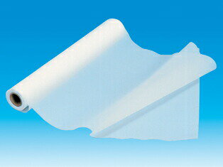 品目:PTFEシートPTFE製サイズ：300mm幅厚さ(mm):0.05価格は長さ10m当りです