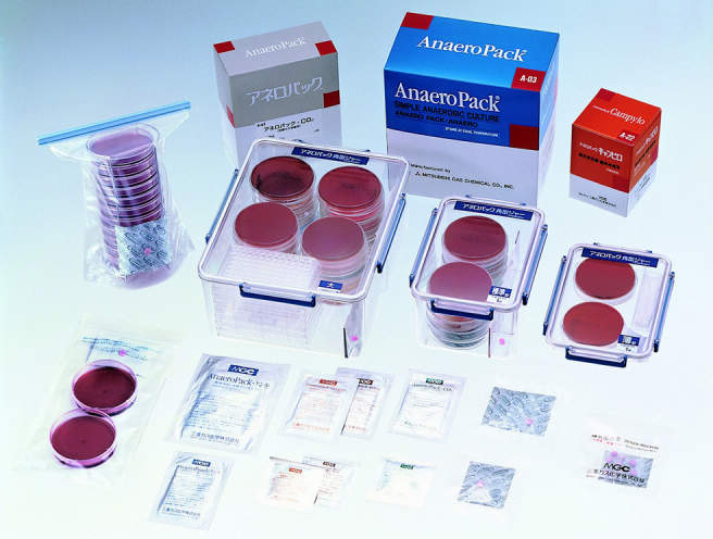 ●マイクロプレートや角1号シャーレでの嫌気培養が簡単●ふ卵器内でジャー同士の積み重ねが可能です●薄型は検体輸送に便利です●タテ置きにすると試験管での培養もできます型式：A-110（標準）規格：間仕切つき,標準型アネロパック&reg;使用量：...