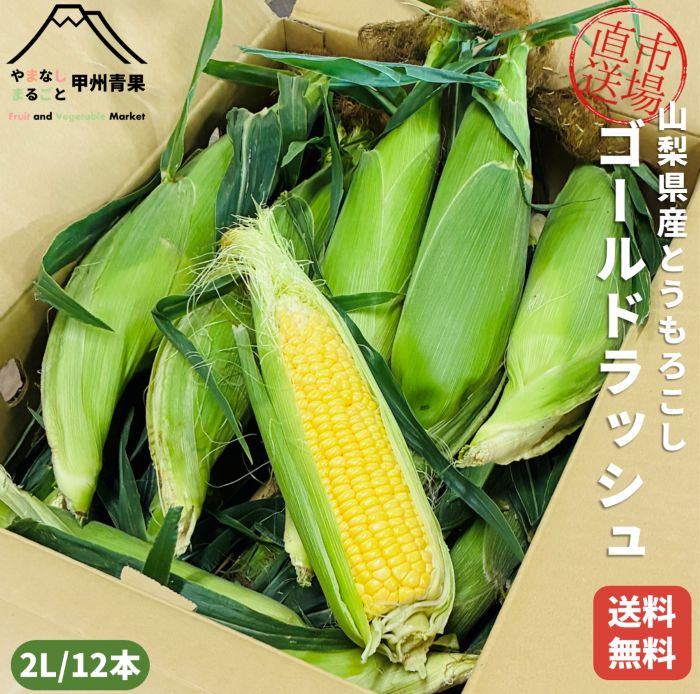 山梨県産とうもろこし「ゴールドラッシュ」です。名峰に囲まれた盆地特有の寒暖差が、とうもろこしの甘みを”ぎゅっ”と凝縮しました。口に残らない薄皮が特徴で、食べやすさは抜群！収穫当日に市場に入荷したものを出荷しますので、鮮度も抜群！今しか味わえ...