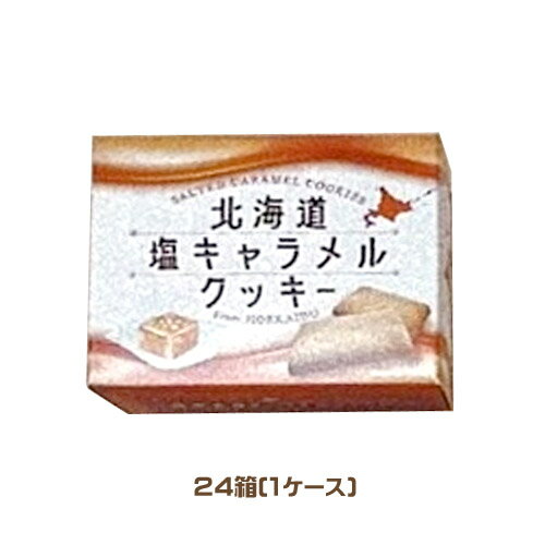 ▼こちらの商品は 【出荷までの目安】 【ラッピングNG】 【のしがけNG】 【常温便OK】 【冷蔵便NG】 【冷凍便NG】 となります。わかさや本舗　北海道塩キャラメルクッキー　8枚入×24箱（1ケース） 北海道土産にぴったりの塩キャラメル...