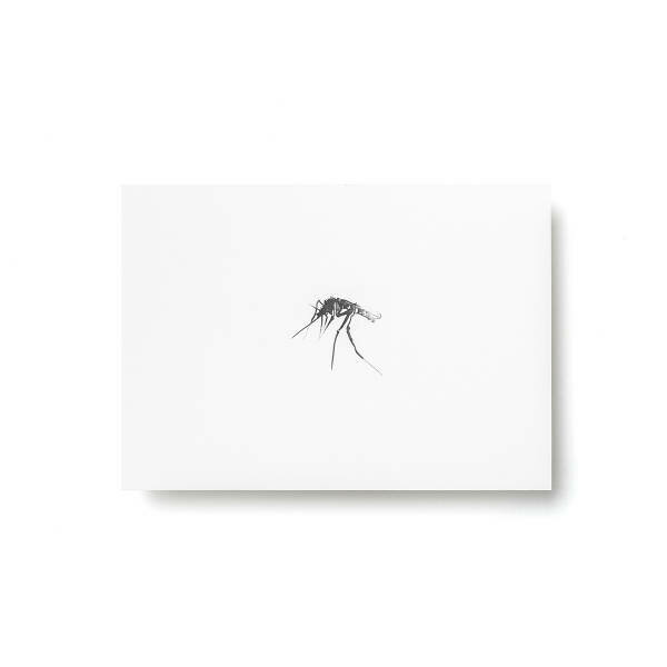 ※モニター環境により多少色合いが異なりますので、予めご了承下さいませ。※こちらはKOZラッピング対象外の商品です。注意：フレームは付属しておりません。