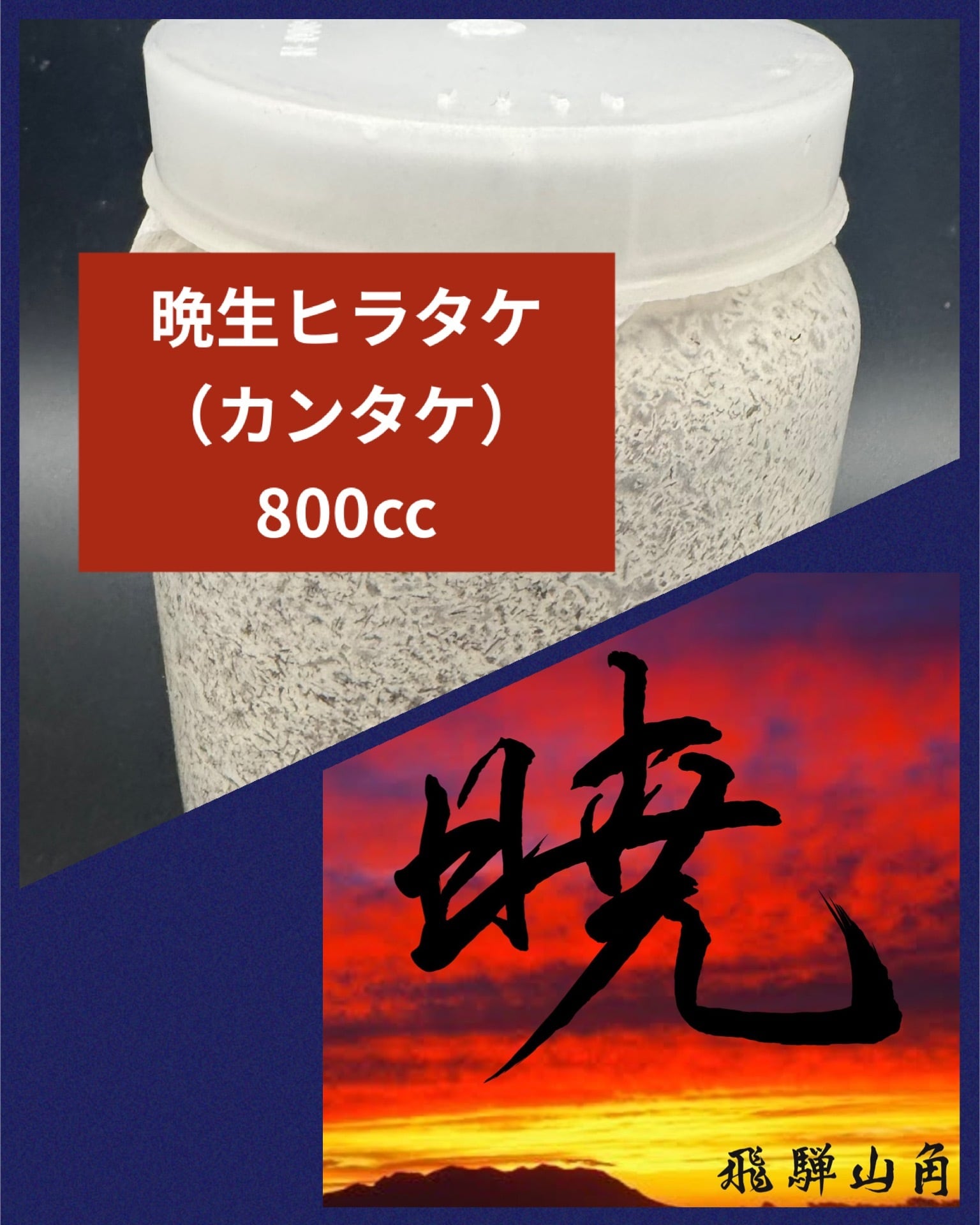 【暁】高添加カンタケ（晩生ヒラタケ） 800cc 低温環境でもキノコが出にくい特性を持つカンタケ菌糸ボトルです。 寒茸（カンタケ）は、5～10℃の低温で発生しやすい特性を持ち、20℃以上の環境ではキノコの発生が抑えられるため、長期間安定した...
