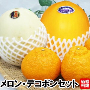 ギフト対応 内容: ●ホームランメロン2玉またはイエローキングメロン2玉もしくは各1玉　●デコポン2～3個 春限定のホームラン・イエローキングメロンと甘くて美味しいデコポンを詰合せました。 熊本の隠れた逸品を堪能できる豪華セットです。 ※メ...