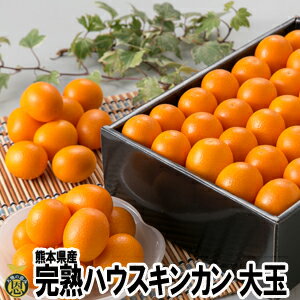 ギフト対応 ハウス加温栽培で育てられた大玉で甘くまろやかな風味のヘルシーなキンカンです。生のまま丸かじりでお召し上がりください。（化粧箱入り）送料無料（一部地域除く）北海道・東北6県へは別途500円を申し受けます。当該エリアへのご注文があっ...