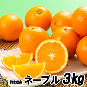 ギフト対応 オレンジの仲間で、美しいオレンジ色が特徴です。独特な香りで糖度が高く、果肉は柔らかく非常にジューシーで、種もなく食べやすい人気の品種です（国産）送料無料（一部地域を除く）北海道・東北6県へは別途500円を申し受けます。当該エリア...