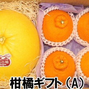 ギフト対応 晩白柚1玉・不知火4個の詰合せです。送料無料（一部地域を除く）北海道・東北6県へは別途500円を申し受けます。当該エリアへのご注文があった場合、改めてメールで確定後の金額をお知らせします。）