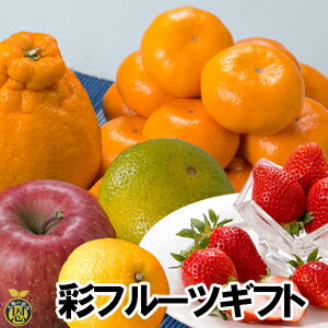 ●いちご1箱　●不知火（しらぬい）1個　●スイートスプリング1個　●リンゴ1個　●その他柑橘数個 ※時期により商品内容が一部異なる場合がございます。 彩り鮮やかないちごに、今の時期に美味しい柑橘をギュっと詰め合わせました。ご自宅用・ご贈答用...