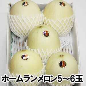 果皮が美しい乳白色で、果肉は白く肉厚です。糖度15～17度で上品な甘さです。ホームランメロン5～6玉（約5kg）送料無料（一部地域を除く）北海道・東北6県へは別途500円を申し受けます。当該エリアへのご注文があった場合、改めてメールで確定後...