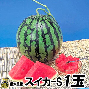 糖度は12度以上。西瓜の産地、熊本植木から直送します熊本県産スイカ1玉入り　　 重さ 1玉　約4kg送料無料（一部地域を除く）北海道・東北6県へは別途500円を申し受けます。当該エリアへのご注文があった場合、改めてメールで確定後の金額をお知...