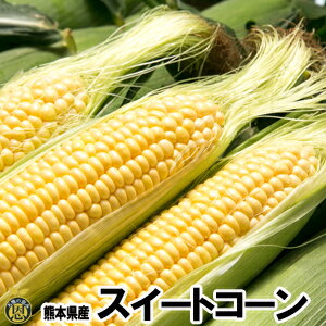 甘くて新鮮なスイートコーンを冷蔵便でお届けします。 収獲したままの皮付きでお届けしますので、多少の虫食いなどについてはご了承ください。送料無料（一部地域を除く）北海道・東北6県へは別途500円を申し受けます。当該エリアへのご注文があった場合...