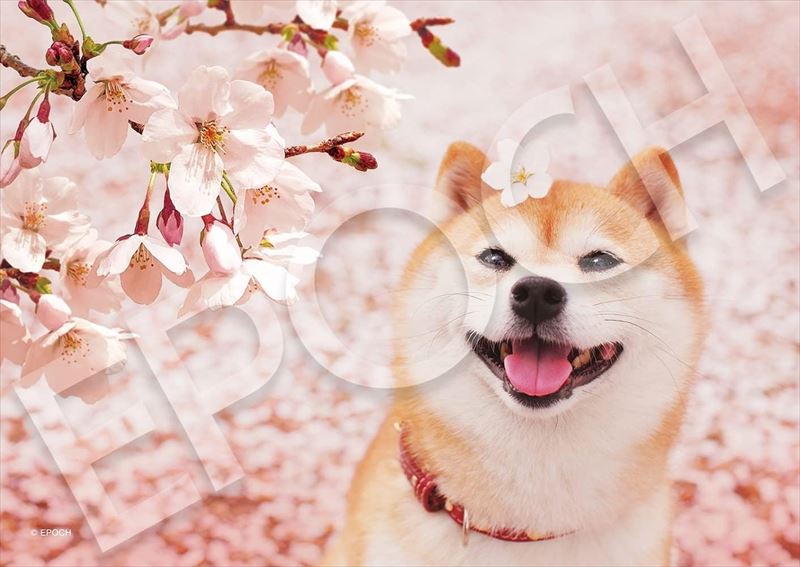 ピース数 108ピース 完成サイズ 18.2cm×25.7cmパネルは別売りです。このサイズに合うパネル←クリックすると別ウィンドウで開きます。 作家名・作品名・商品シリーズ名 ペット・動物/いぬ 特徴 メーカー (株)エポック社 発売日 ...