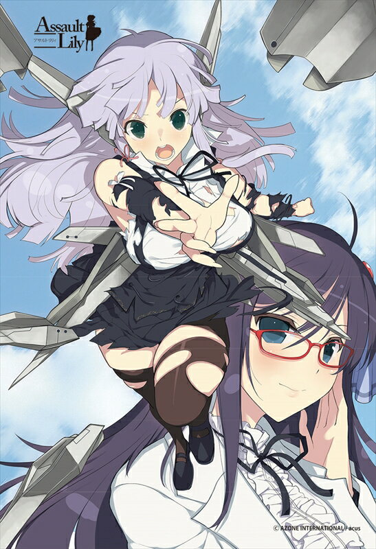 ピース数 300ピース 完成サイズ 26cm×38cmパネルは別売りです。このサイズに合うパネル←クリックすると別ウィンドウで開きます。 作家名・作品名・商品シリーズ名 アサルトリリィ 特徴 「アサルトリリィ」とは、ドールメーカー「アゾンイ...